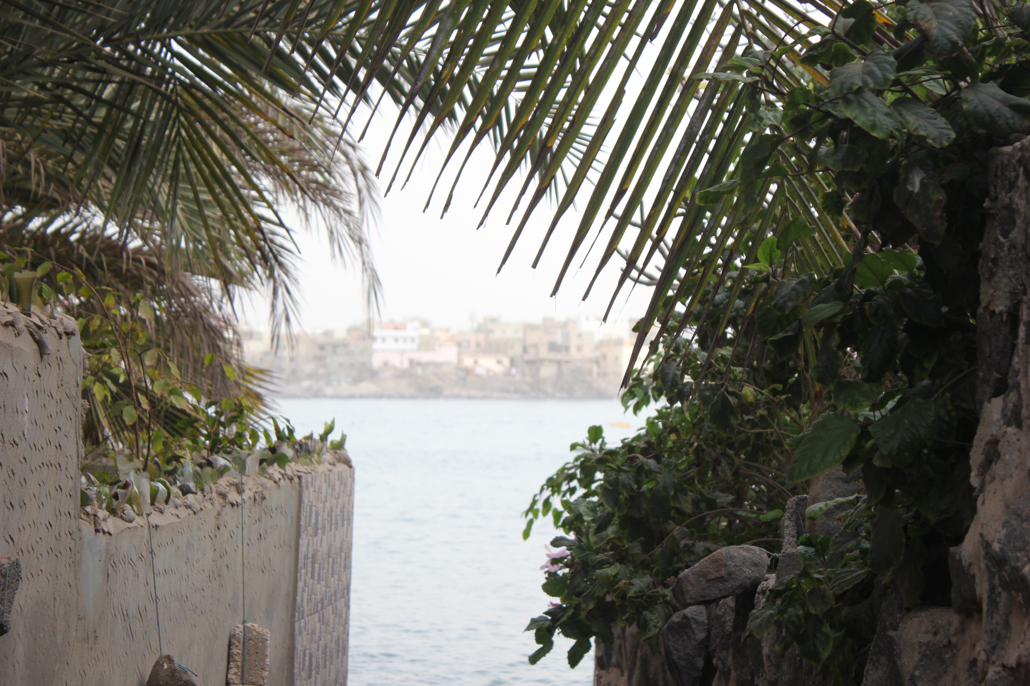 L’île de Ngor ou le havre de paix – Une Parisienne Overseas